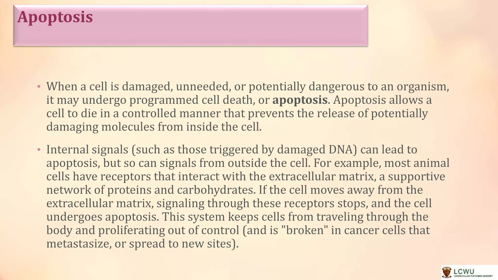 Second messenger and signal transduction pathways | PPT