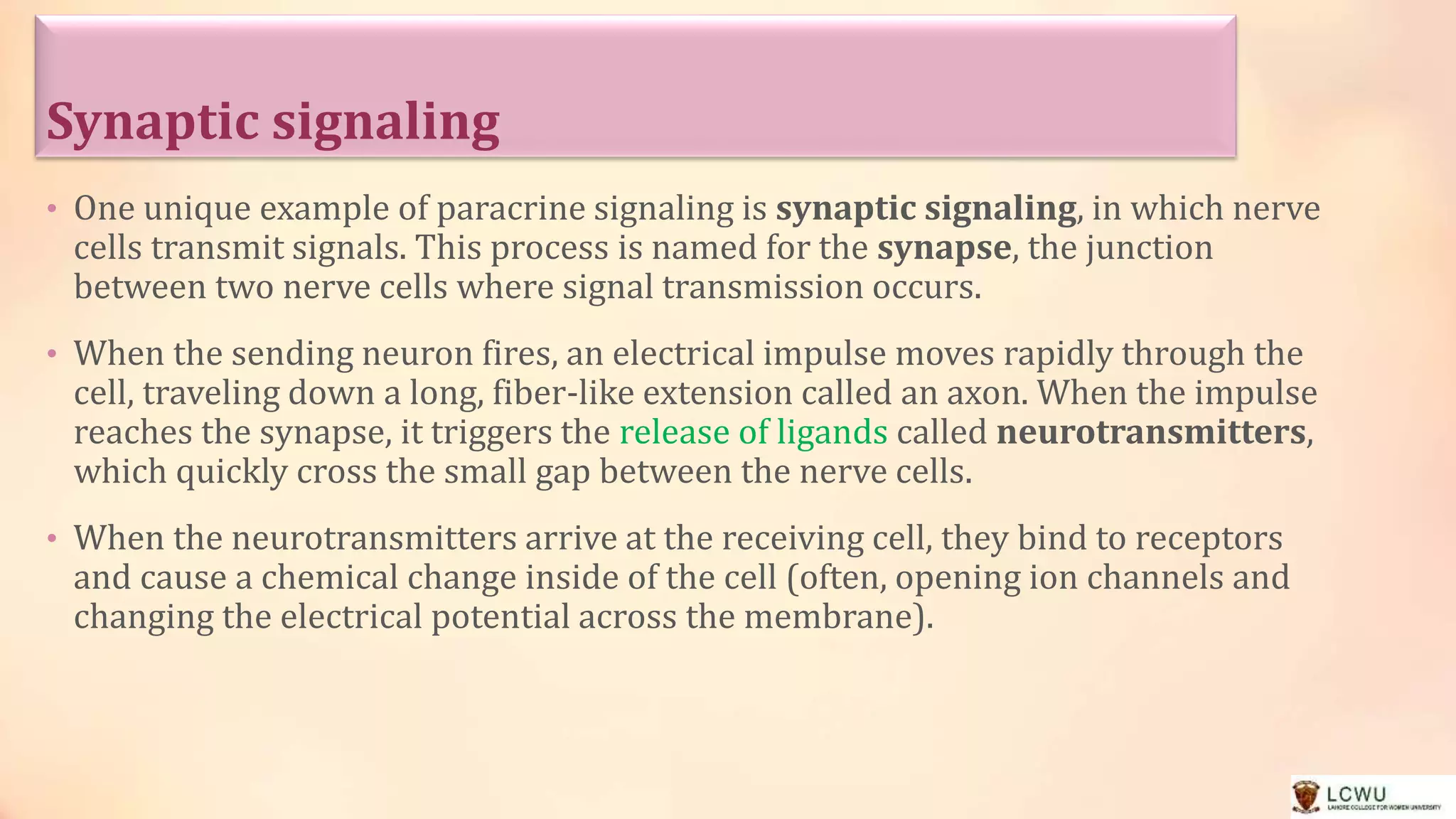 Second messenger and signal transduction pathways | PPT