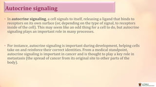 Second messenger and signal transduction pathways | PPT