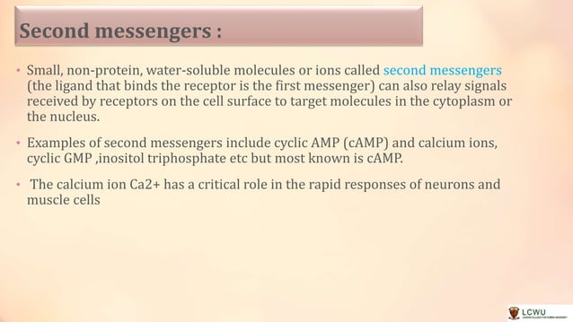 Second messenger and signal transduction pathways | PPT