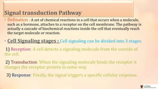 Second messenger and signal transduction pathways | PPTX