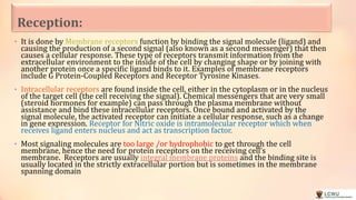 Second messenger and signal transduction pathways | PPT