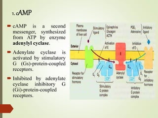 Camp As A Second Messenger