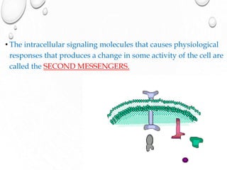 Second messengers | PPTX