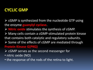 Secondary messengers system | PPTX