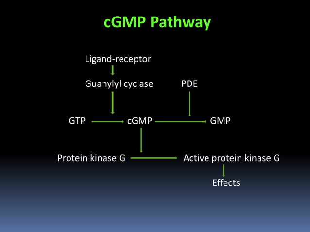 Secondary messengers system | PPTX | Endocrine and Metabolic Diseases ...