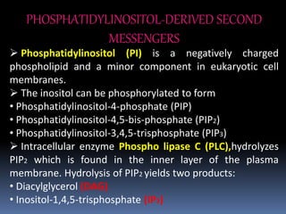 Secondary messengers system | PPTX