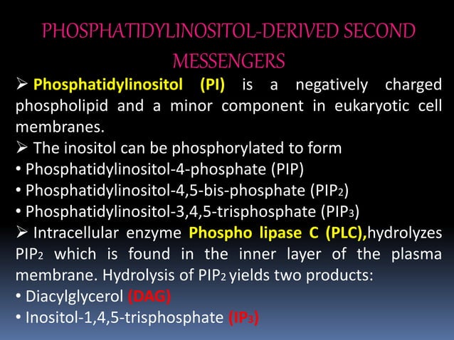 Secondary messengers system | PPTX | Endocrine and Metabolic Diseases | Diseases and Conditions