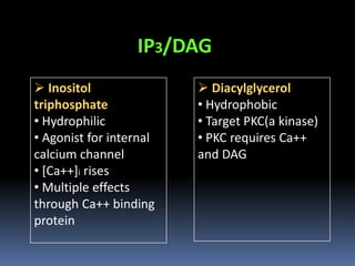 Secondary messengers system | PPTX