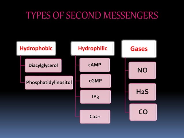 Secondary messengers system | PPTX | Endocrine and Metabolic Diseases ...