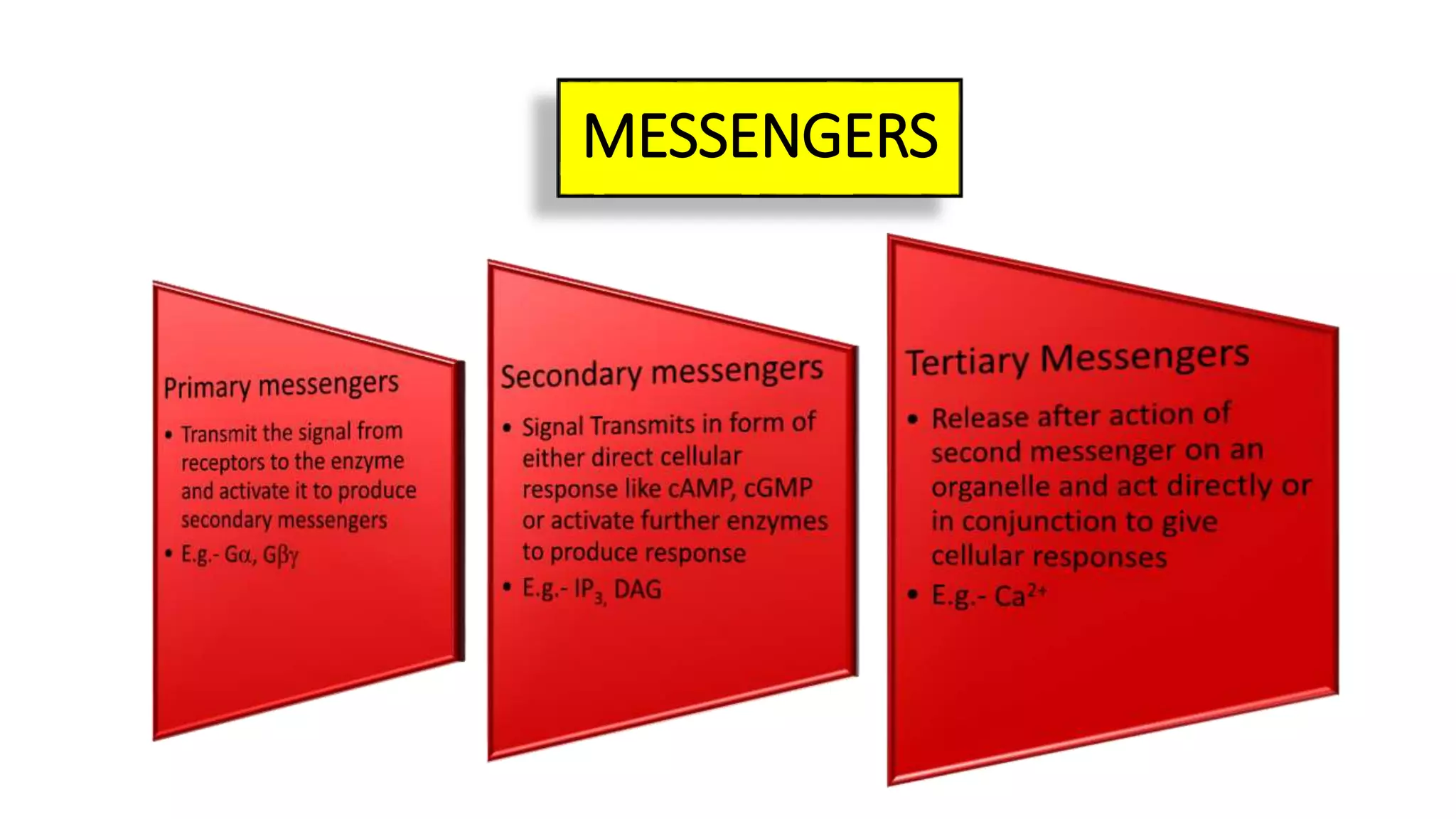 ROLE OF SECOND MESSENGERS IN RECEPTOR SIGNAL TRABSDUCTION | PPTX