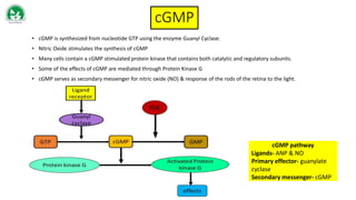 ROLE OF SECOND MESSENGERS IN RECEPTOR SIGNAL TRABSDUCTION | PPTX