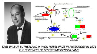 ROLE OF SECOND MESSENGERS IN RECEPTOR SIGNAL TRABSDUCTION | PPTX