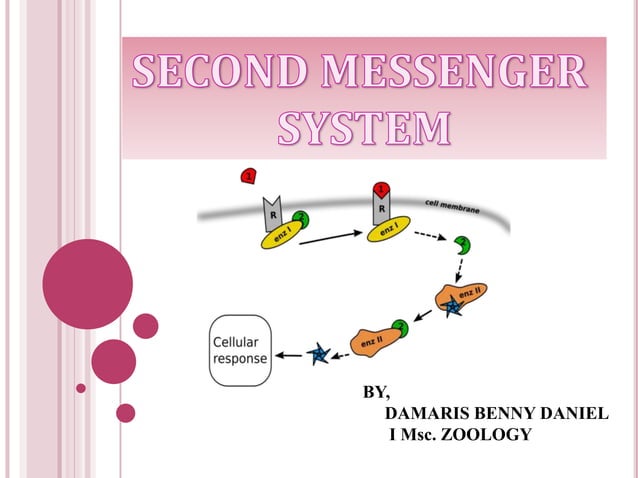 Second messenger system | PPTX