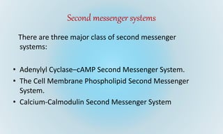 Second messenger system | PPTX