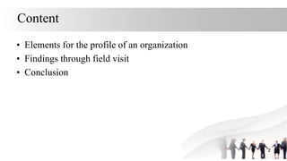 Profile of Organizations | PPTX