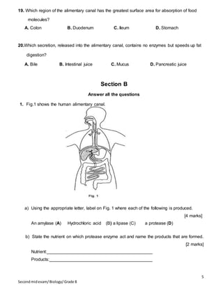 Second mid exam 2012 bio grade 8 | DOCX