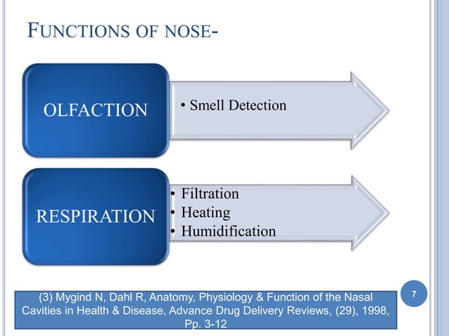 Nasal Drug Delivery System | PPTX | Ear, Nose and Throat Conditions ...