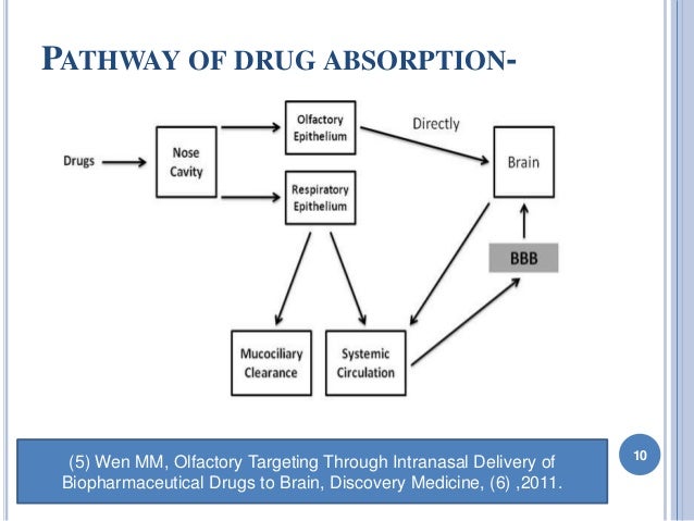 Nasal Drug Delivery System