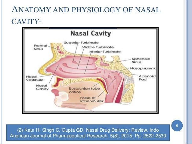 Nasal Drug Delivery System