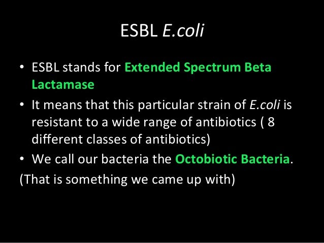 PCR Amplification Of Tem gene of ESBL E.coli