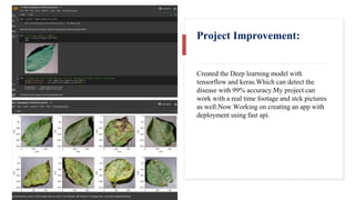Second Review GTU intern ship about plant disease.pptx