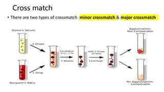 second section physiology laboratory.pptx