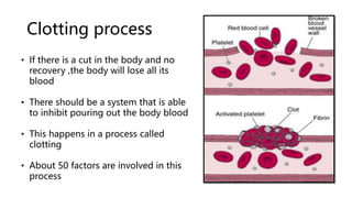 second section physiology laboratory.pptx