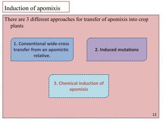 Genetic basis of apomixis | PPTX