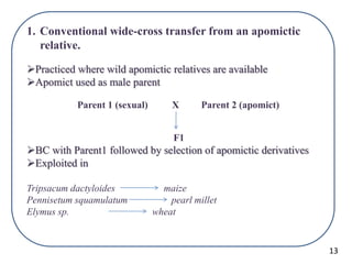 Genetic basis of apomixis | PPTX