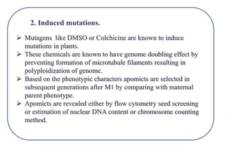 Genetic basis of apomixis | PPTX