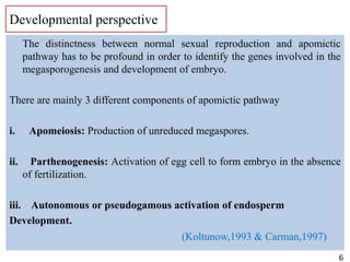 Genetic basis of apomixis | PPTX