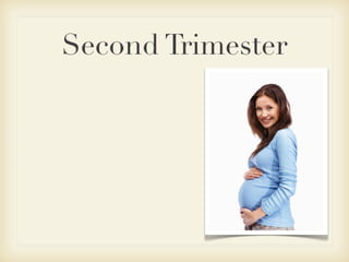 Second trimester | PDF