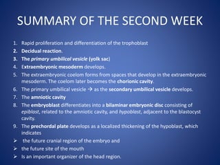 Second week of development | PPTX