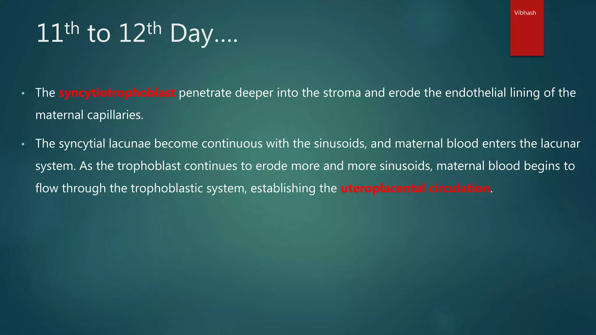Second week of development | PPTX