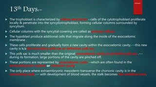 Second week of development | PPTX