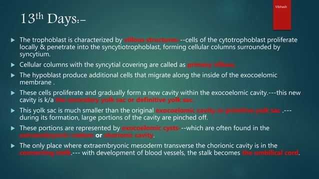 Second week of development | PPTX | Pregnancy | Reproductive Health