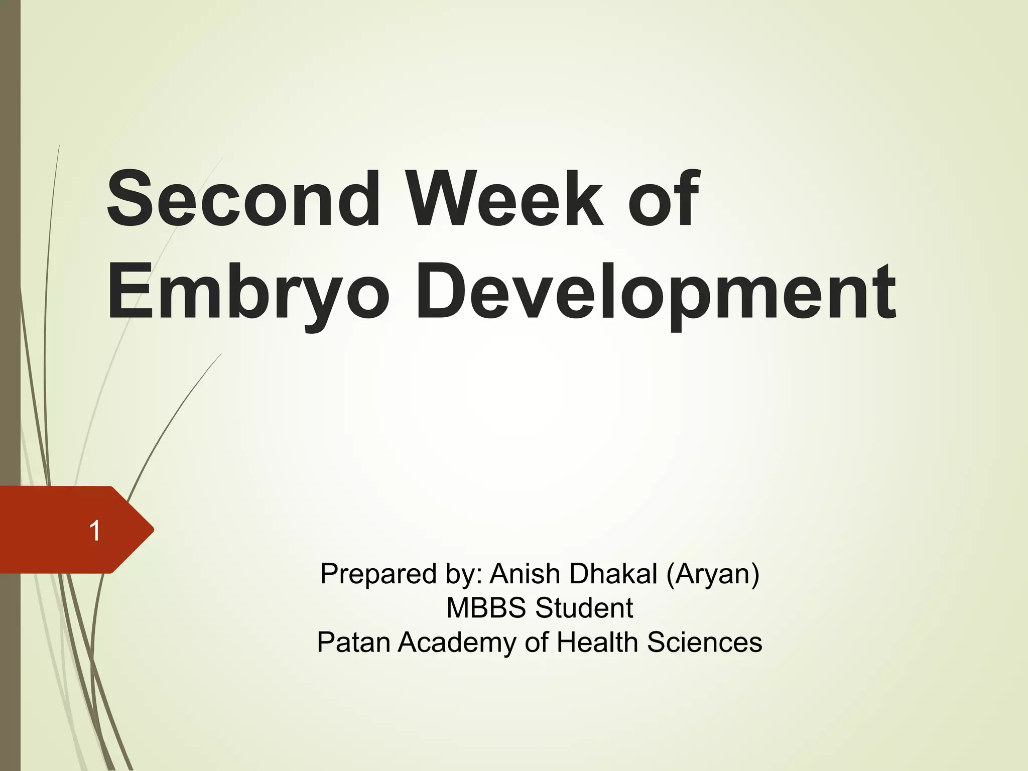 Second week of development | PPTX