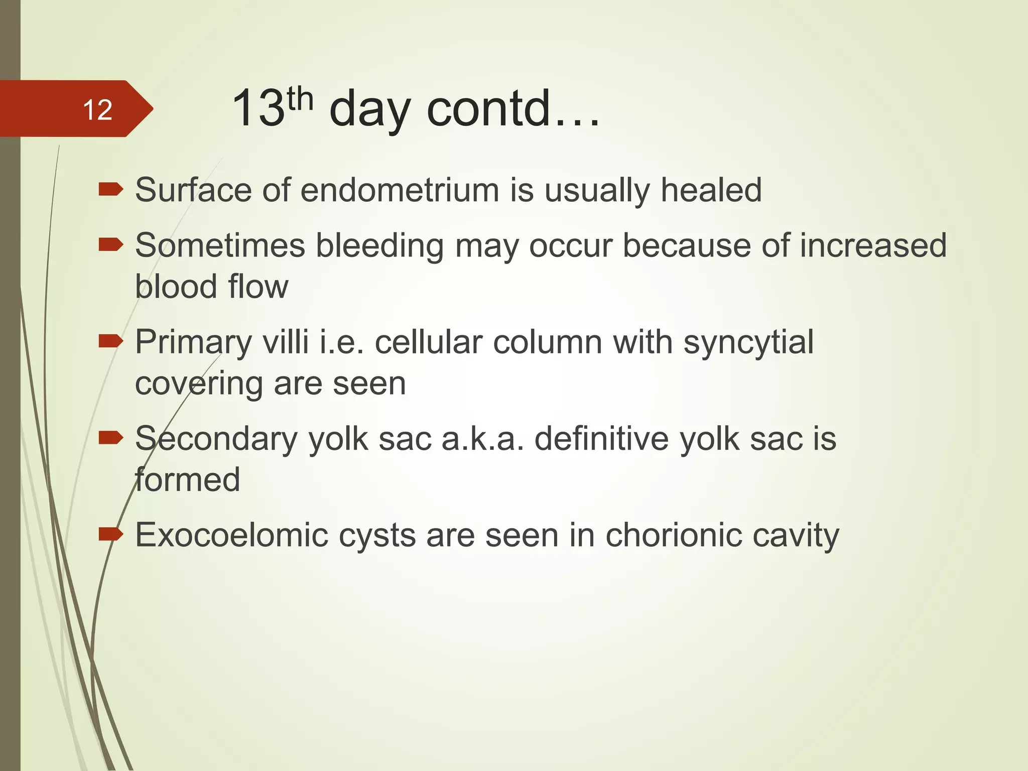 Second week of development | PPTX