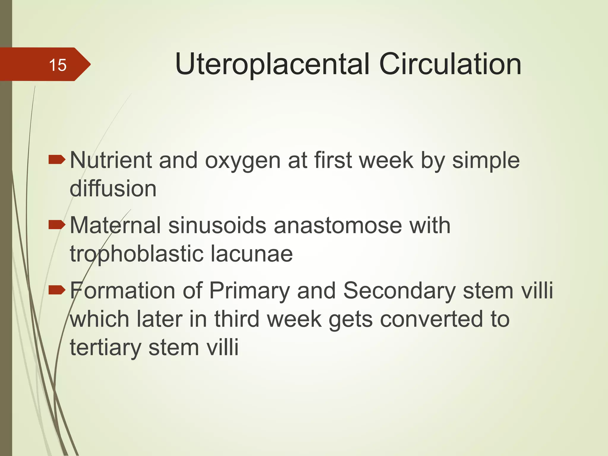 Second week of development | PPTX