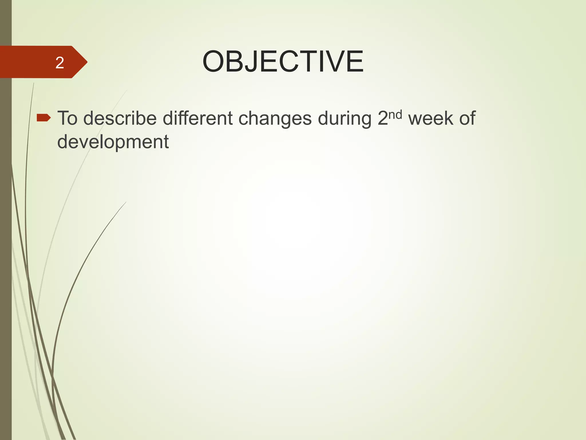 Second week of development | PPTX