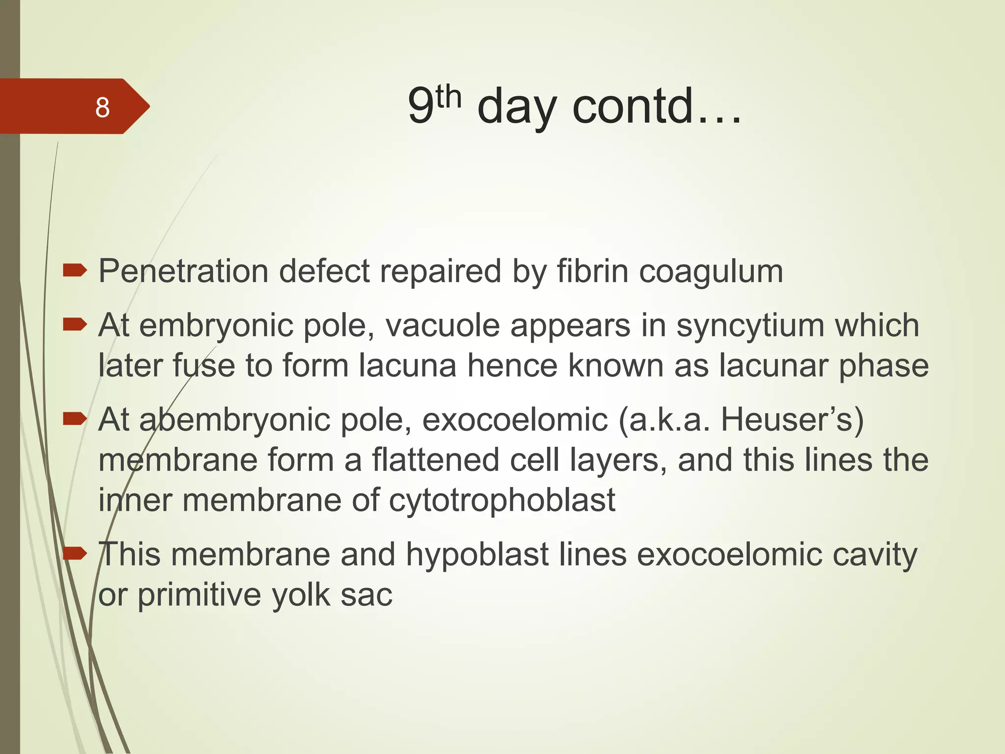 Second week of development | PPTX