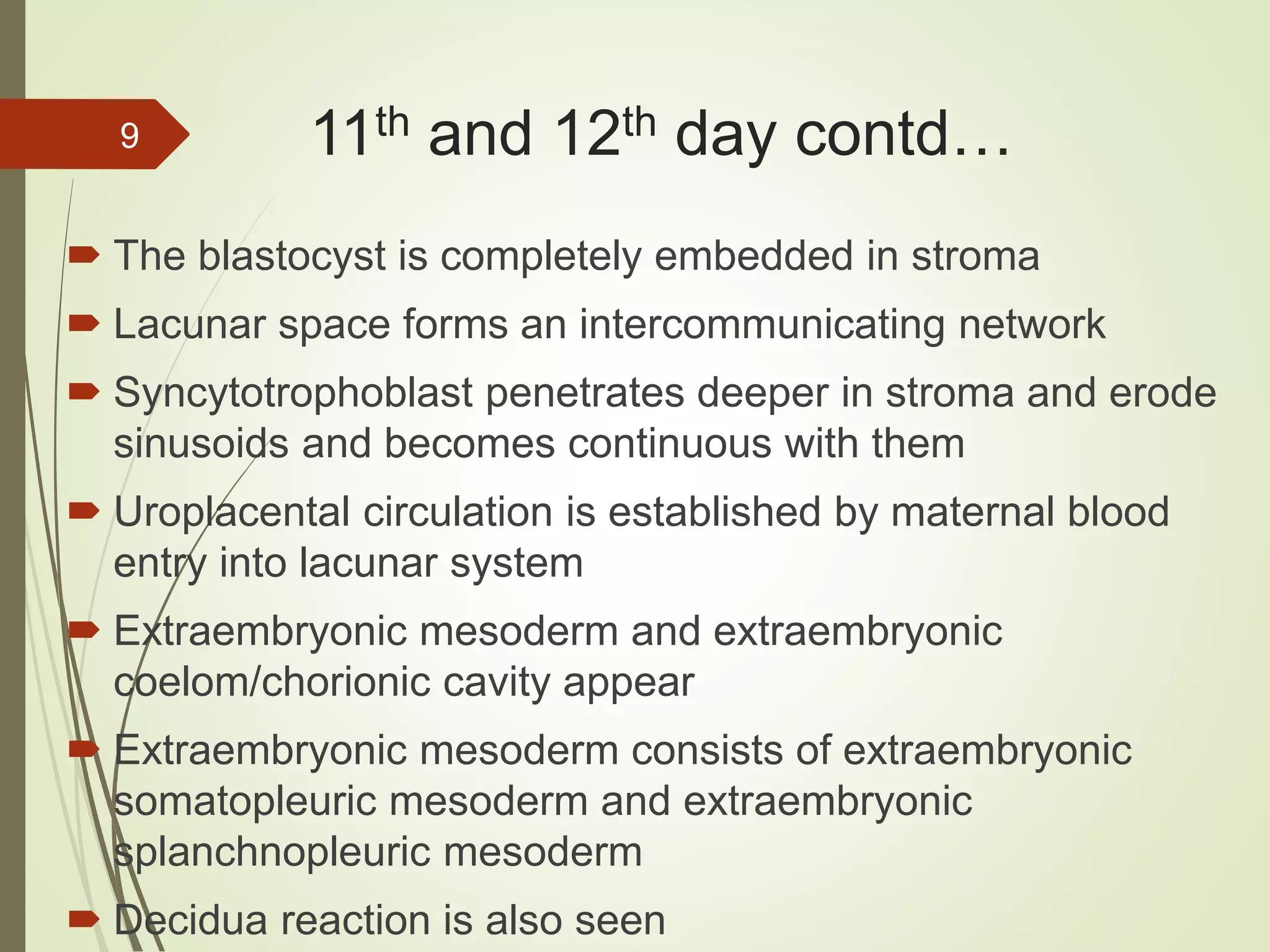 Second week of development | PPTX