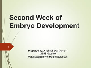Second week of development | PPTX