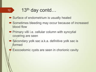 Second week of development | PPTX