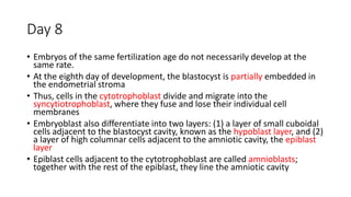 Second week of development | PPT