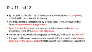 Second week of development | PPT