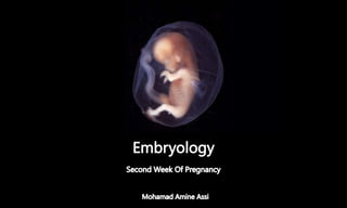 Second week of pregnancy emberyology | PPTX