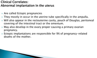 Second week of pregnancy emberyology | PPTX