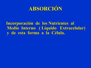 Secreción, Digestión y Absorción de los alimentos.ppt